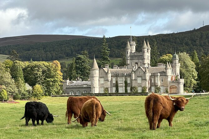 Balmoral & Royal Deeside Tour - Accessibility Information