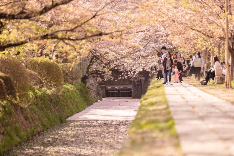Bamboo Artistry & Zen Serenity: Tranquility With Ginkaku-Ji - Unveiling the Secrets of Bamboo Weaving