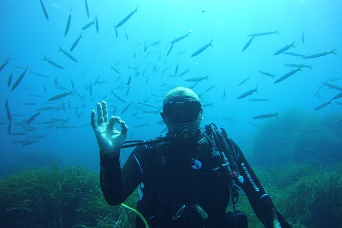 Baptism in the Northern Marine Reserve of Menorca - Diving Gear and Accessibility