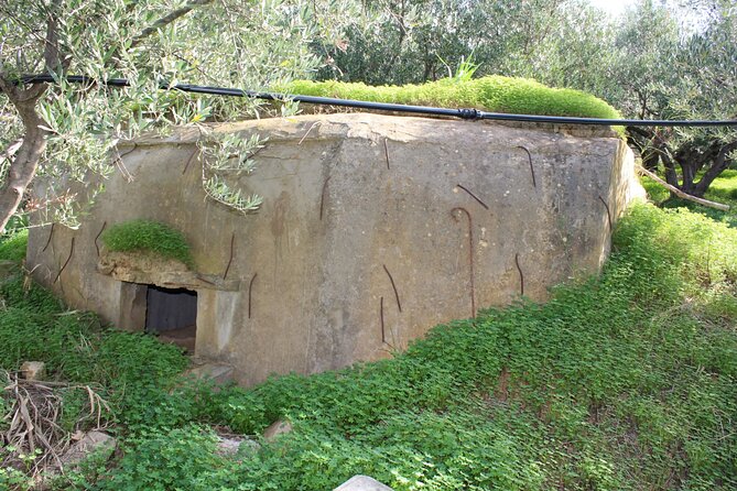 Battle of Crete Full Day Private Tour in Chania - What to Expect During the Tour