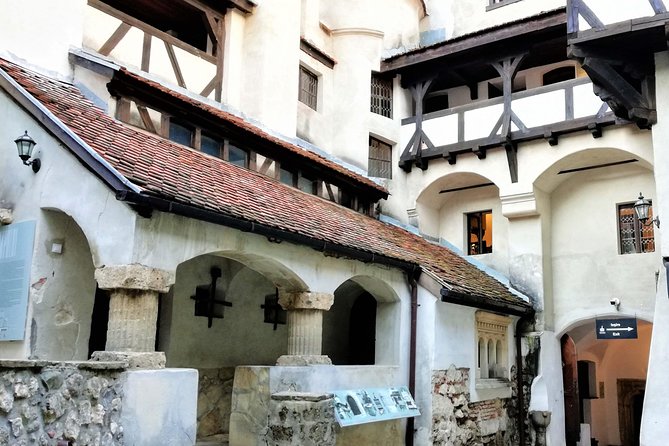 Bear Sanctuary and Draculas Castle, 1-day Private Tour - Exploring the Libearty Bear Sanctuary