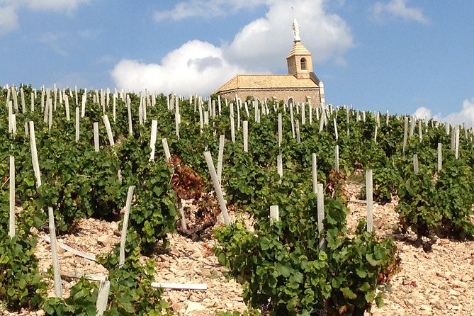 Beaujolais Crus Wines & Castles (2:00 Pm - 6:30 Pm) - Small Group Tour From Lyon - Expert Guidance in Wine and Region