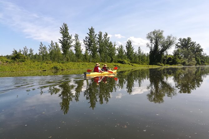 Belgrade Amazon Kayak Adventure - What to Expect