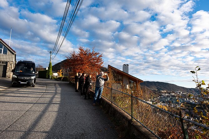 Bergen: Guided Tour by Minibus With Local Guide & Photostops - Exploring Bergens History and Architecture
