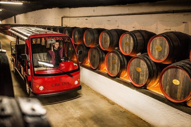 Best of Moldova: Cricova Winery & Old Orhei Tour Including Curchi Monastery - Culinary Delights: Local Lunch Options