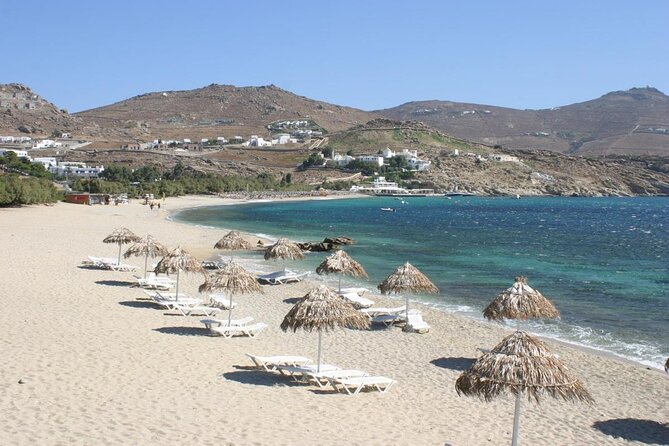 Best of Mykonos Island Tour Review - Customization and Flexibility