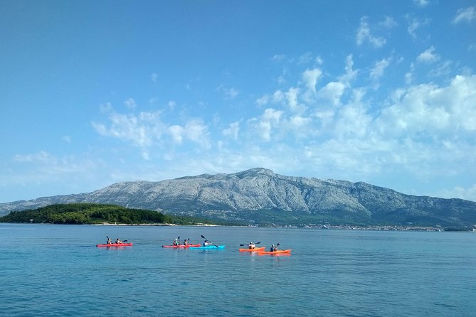 Bits of History - Half Day Kayak Tour With Wine Delight - Meet Your Guide: Boris and His Expertise