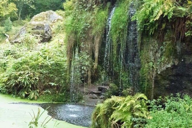 Blarney Castle Cork City and Jameson Distillery Semi Private Tour - Challenges and Recommendations