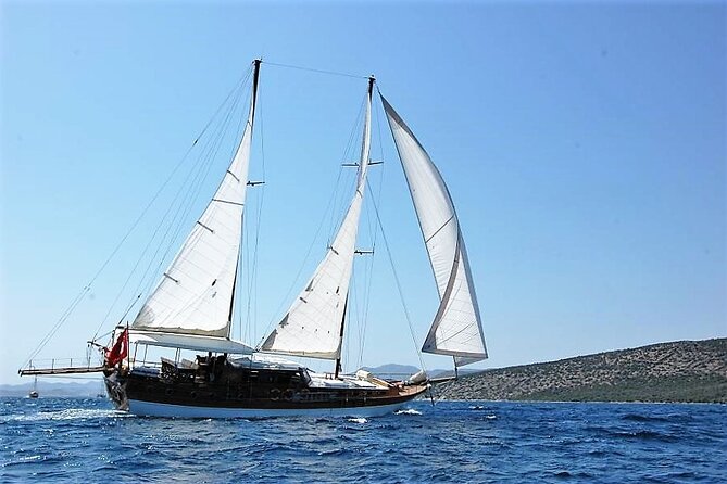 Bodrum Vip Private Gulet Tour - Reviews