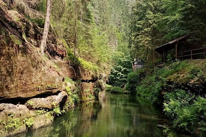 Bohemian and Saxon Switzerland National Park Day Trip From Dresden - Participant Requirements and Accessibility