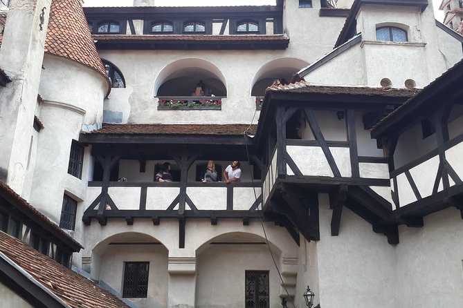 Brown Bear Sanctuary, Rasnov Fortress and Bran Castle Tour From Brasov - Special Offer and Pricing