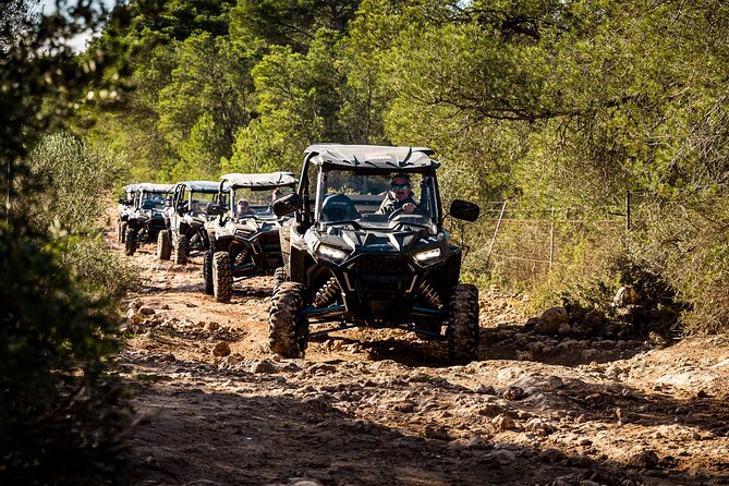 Buggy 2-seater and 4-seater Off-On Road Tour in Mallorca - Customer Feedback