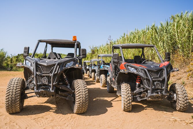 Buggy Safari With Wine Tasting - Preparing for the Adventure