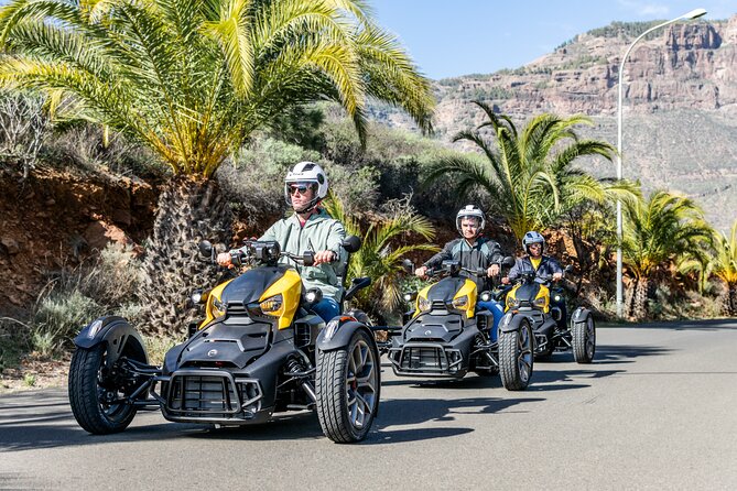 Can-Am Ryker Three Wheels Tricycle Mountain Tour (Maspalomas) - Navigating the Mountain Terrain
