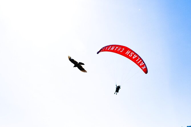 Chamonix Two-Seater Paragliding Flight Review - Excitement and Satisfaction With the Experience
