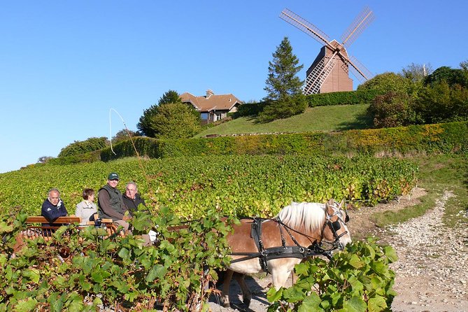 Champagne Day Tour With Reims, Cellars Visit & Champagne Tasting From Paris - Customer Feedback and Recommendations
