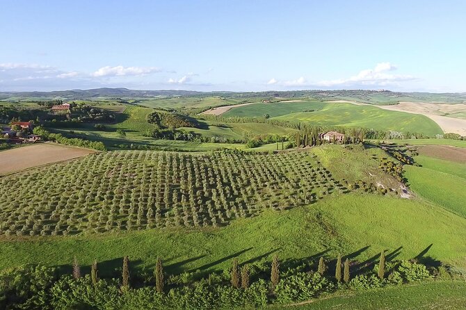 Chianti Wine Tour From Florence - Winery Visits