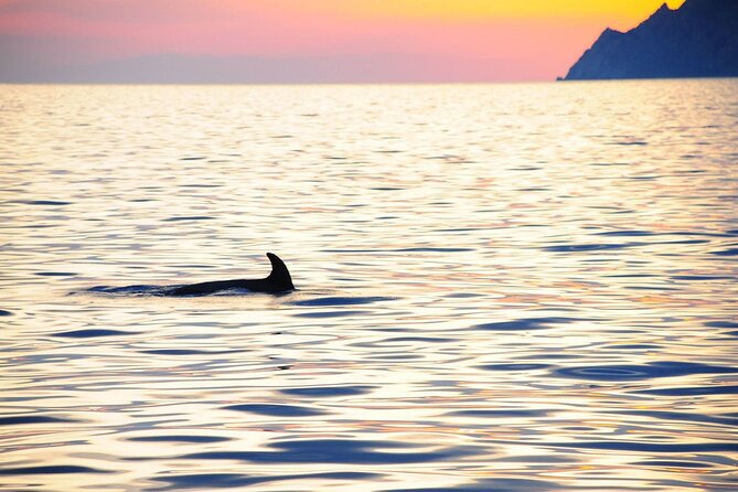 Cinque Terre Sunset Cruise With Aperitif From Monterosso - Customer Feedback and Experiences