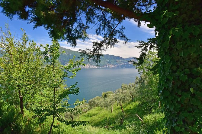 City Escape: Lake Garda Private Day Trip From Verona - Discovering Belvedere Castle