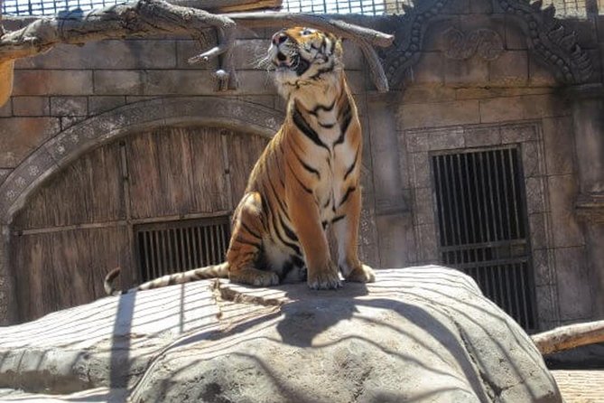 Cocodrilo Park Zoo Admission Ticket Review - Visitor Feedback and Reviews