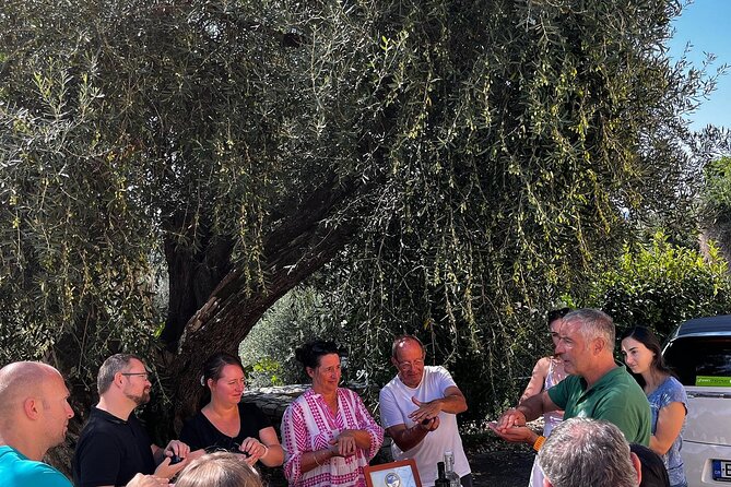 Cooking Classes and Olive Oil Tasting.The Real Taste of Greece! - Guest Feedback and Testimonials