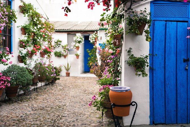 Cordoba Full Day Trip With Mosque Entrance From Costa Del Sol - Traveler Reviews and Recommendations