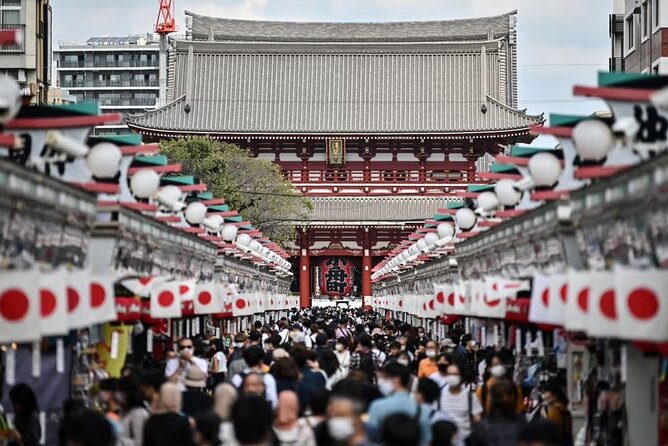 Customizable Private Tokyo Tour With an English-Speaking Driver - Review Highlights