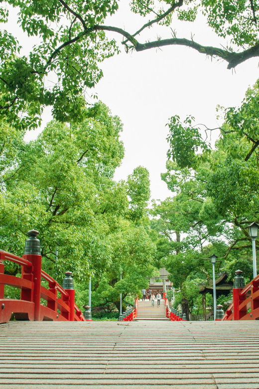 Day Bus Trip to Fruits Pick & Dazaifu, Yanagawa in Fukuoka - Transportation and Inclusions