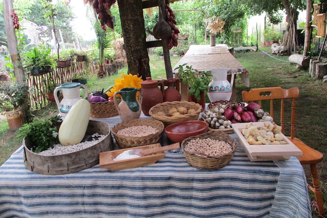 Day of Bread - Tasting of Typical Products