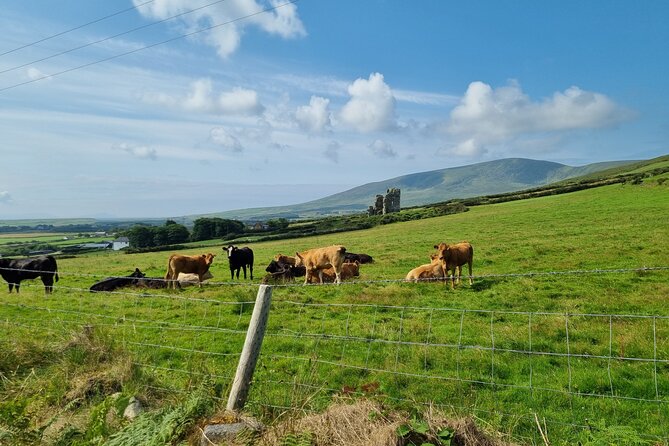 Dingle: Hour Slea Head Drive Tour 4hr - Personal Chauffeur Guide - Pickup and Meeting Details
