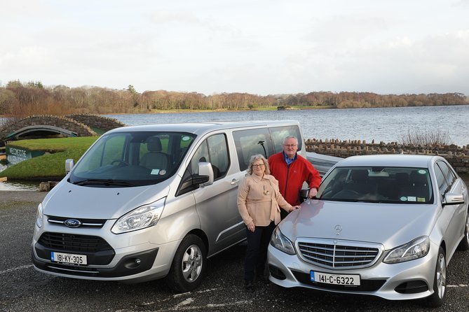 Dingle Peninsula & Slea Head Private Day Tour - Traveler Reviews and Feedback
