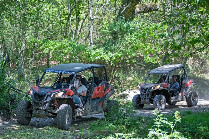 Dirt and Dust Tour by Oporto Buggy - Buggy Driving Experience