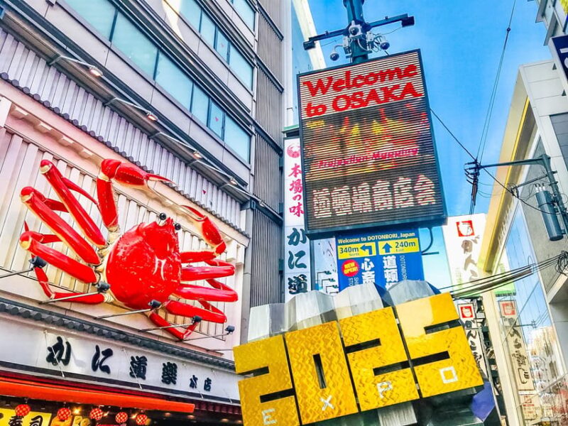 Discover Osaka, Private Customizable Tour With Expert Guides - Payment and Booking Information