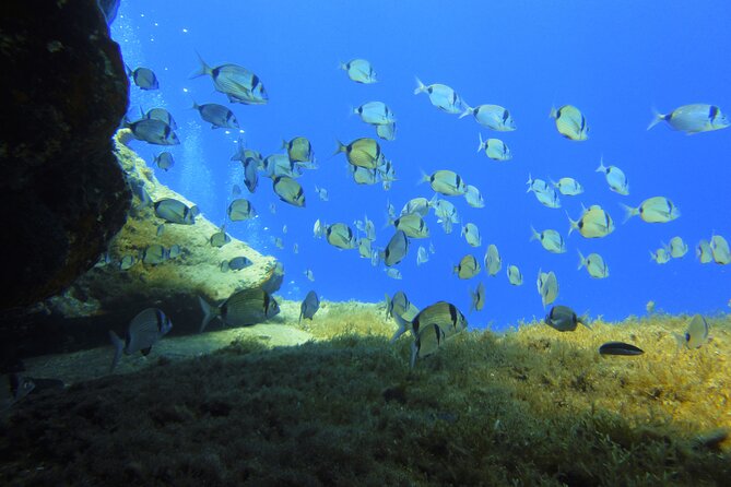 Discover Scuba Diving Adventure in Mykonos - Capturing the Memories