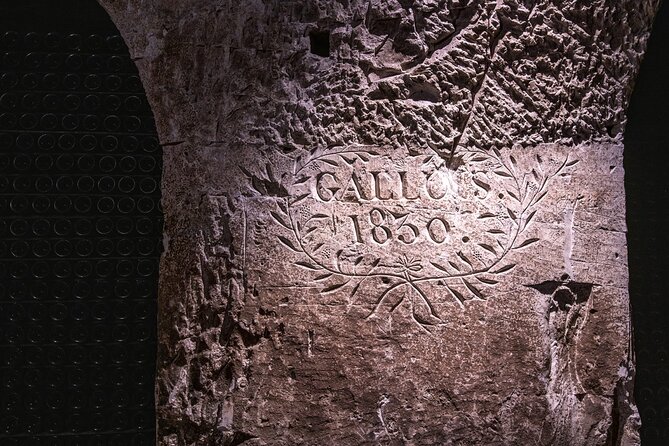 Discover The Cellars in The Heart of The Countryside in Champagne - Culinary Delights: Dining in Mâcon