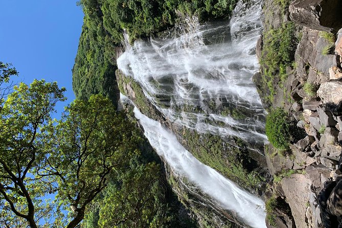 Discovery of Yakushima - Common Questions