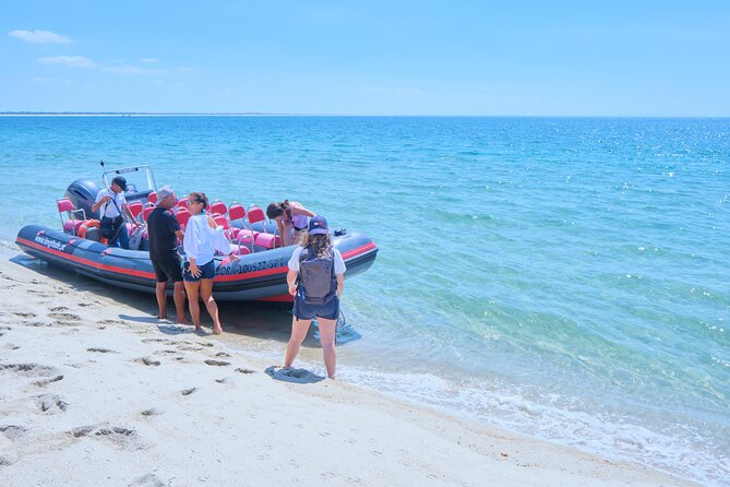 Dolphin Watching in Setúbal - Booking and Cancellation Policy