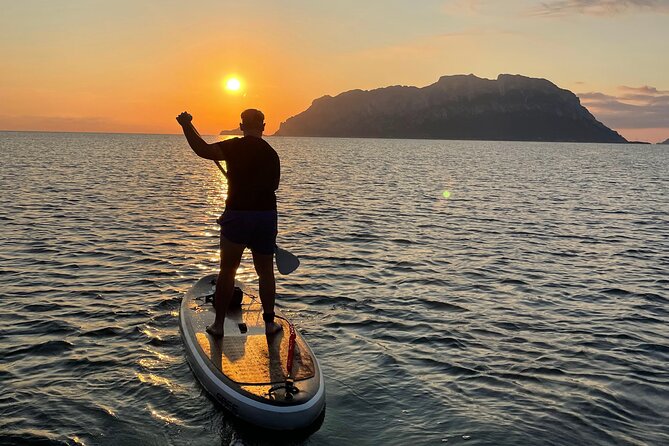 Dolphin Watching SUP Tour With Golfo Aranci Aperitif - Participant Requirements