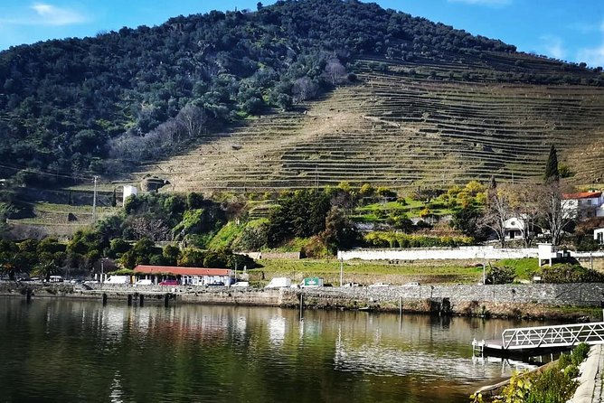 Douro Valley Private Wine Tour From Lisbon - Exploring the Douro Valleys Vineyards