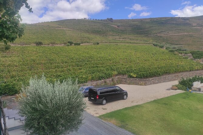 Douro Valley Unforgettable Experiences - Savoring a Memorable Portuguese Lunch Experience