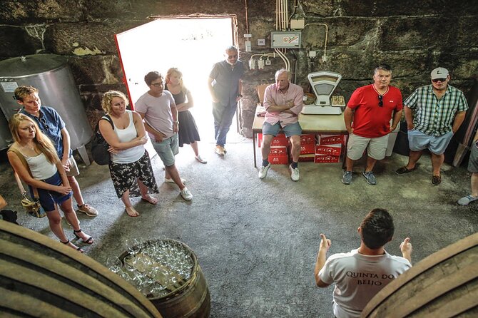 DOURO VALLEY: Wine Premium Tour, Winerys Lunch & Boat From Porto - Recommendations