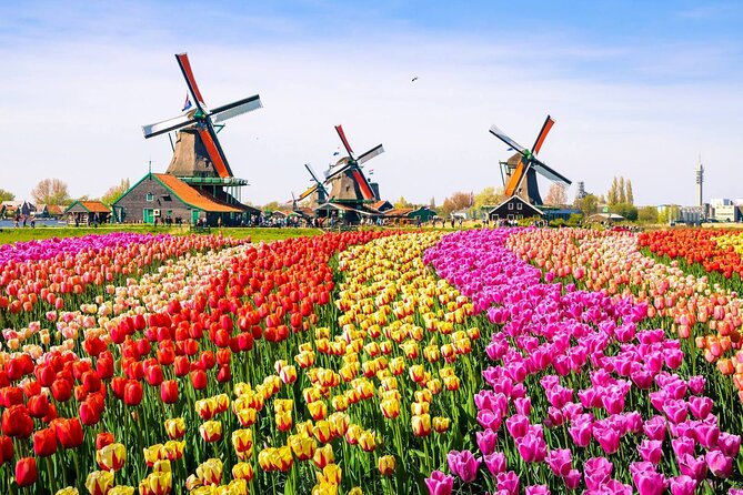 Dutch Countryside and Zaanse Schans Windmills Private Tour - Exploring the Picturesque Dutch Countryside