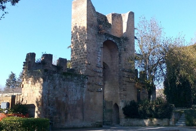 E-Bike Tour in Orvieto in Small Group: History, Culture With Lunch or Dinner - Explore Orvietos History and Culture