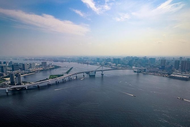 【10 Mins】Tokyo Helicopter Tour + Private Car Pickup & Drop off - Booking Information and Reviews