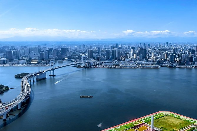 【75 Mins】 Tokyo-Mt.Fuji Tour: Mt. Fuji Helicopter Tour - Navigating Inclement Weather