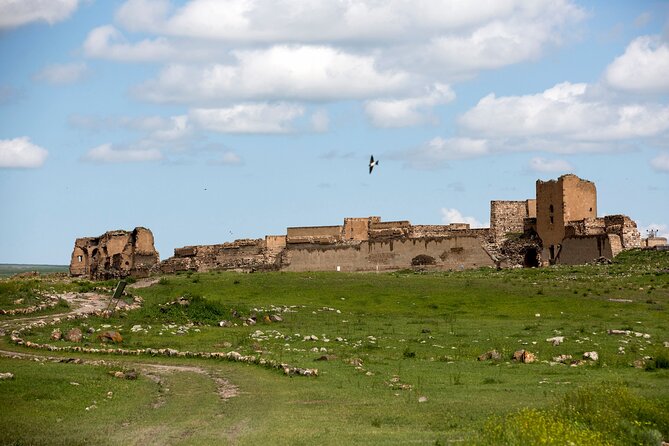 Eastern Turkey 12-DAY Sightseeing Tour From Trabzon - Payment Options