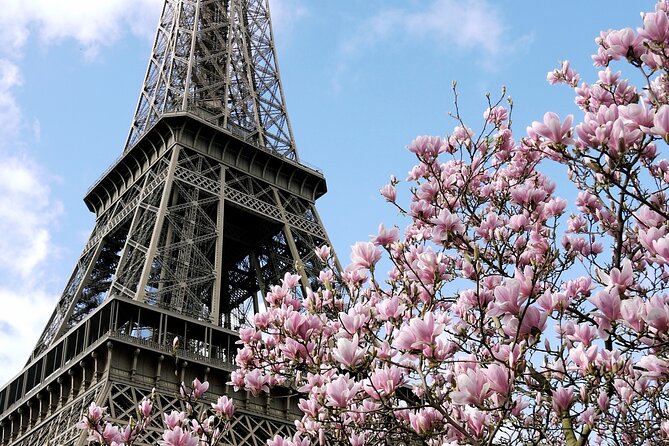 Eiffel Tower Summit Semi-Private Guided Tour - Highlights of the Tour