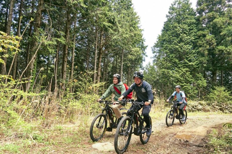 Emtb Tour to See the Beautiful Islands From the Summit - Scenic Views From Mt. Omine