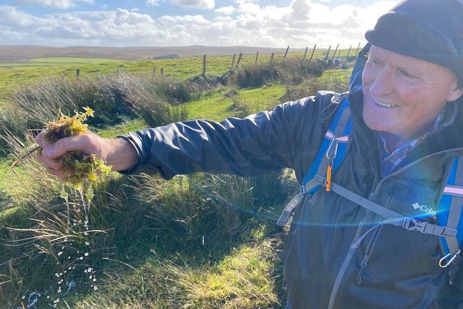 Erris Head Guided Walking Tour (AlchemyTours.ie) - Cancellation and Booking Policies