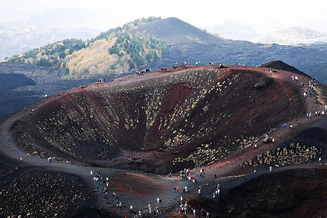 Etna Private Tour From Messina Cruise Terminal + Lunch at Winery - Customer Testimonials